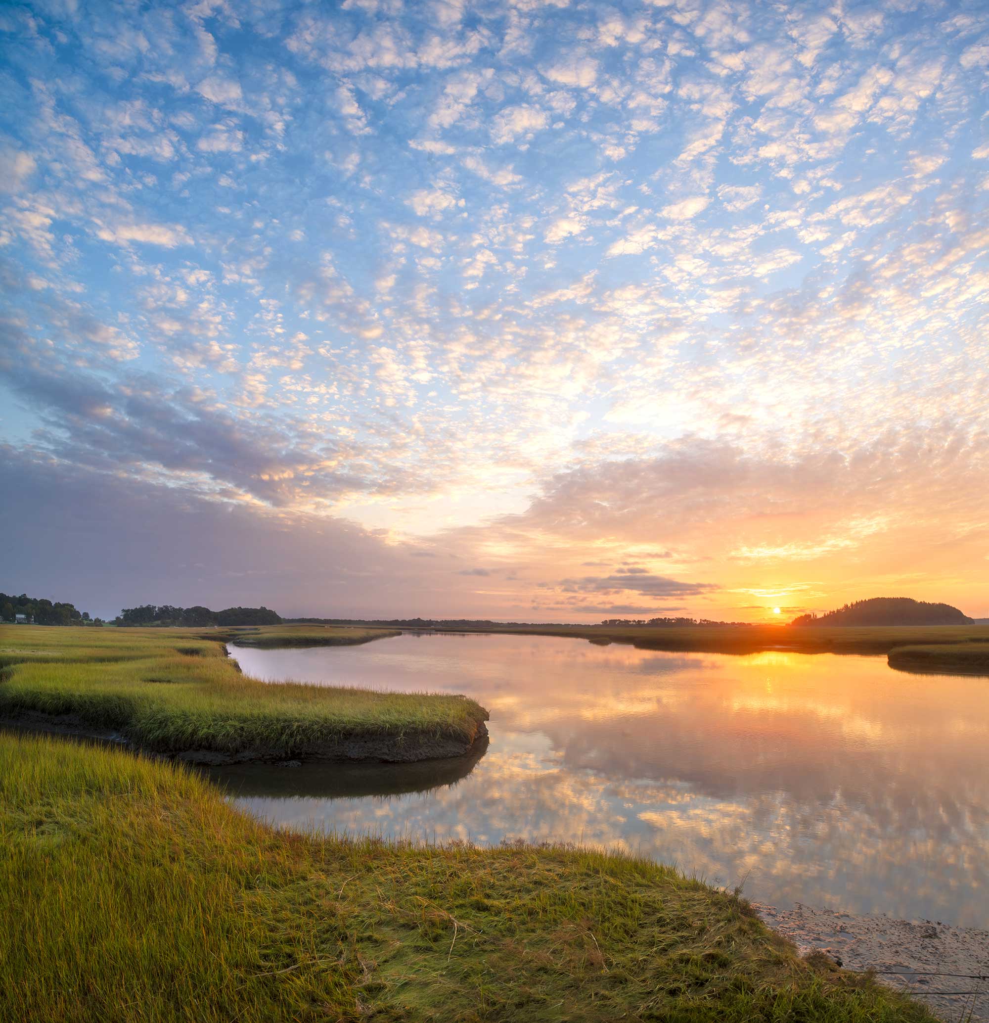 Massachusetts Legislators Secure Passage of Landmark Legislation for ...